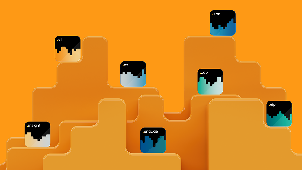 Turn customers into fans with the BSI Customer Suite