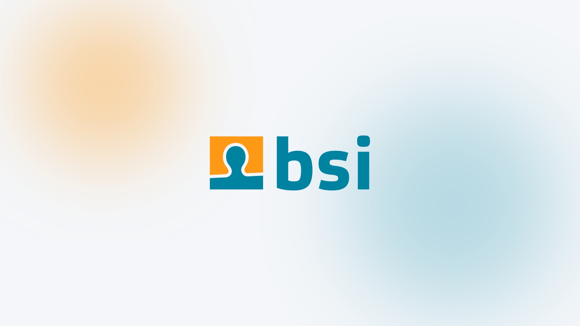 BSI Software komplettiert neuen Verwaltungsrat